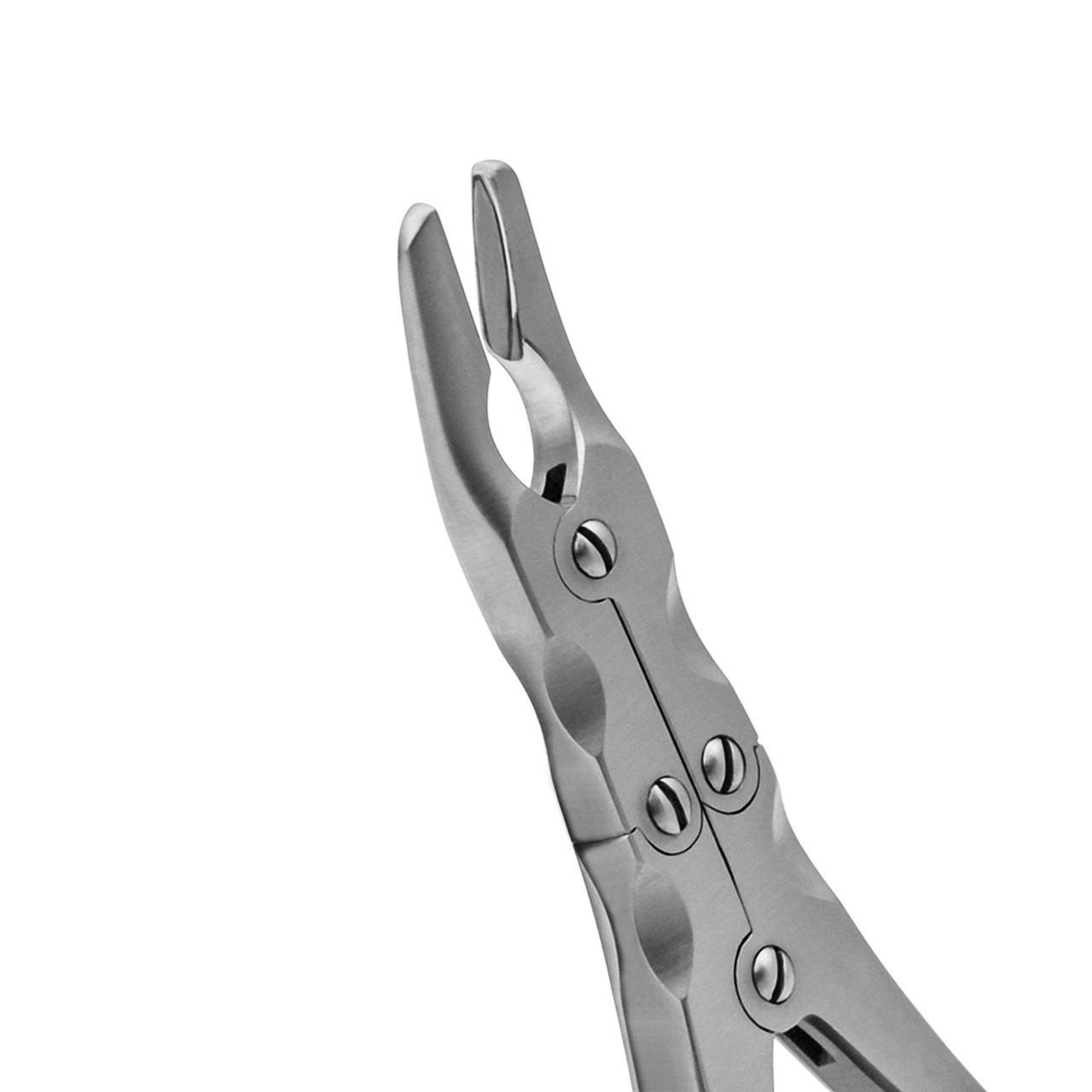 Ruskin Rongeur 6″ - Curved - Hardi LLC