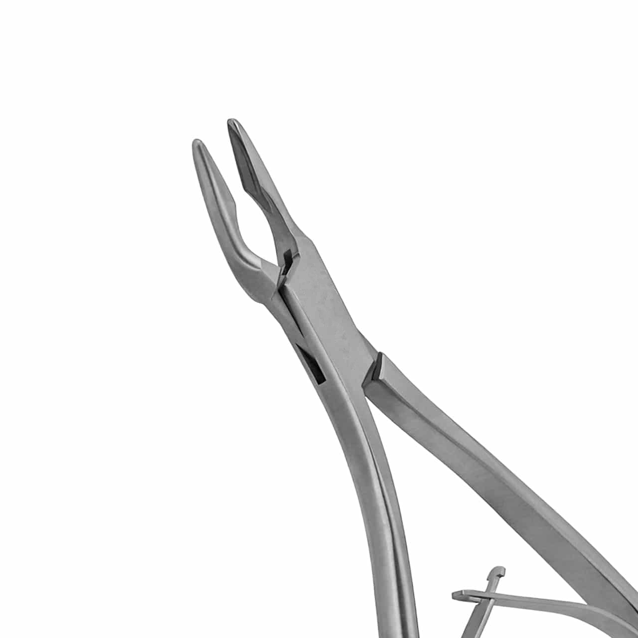 Double-Bend Rongeurs 6″ - Curved Beak/Body Design - Hardi LLC